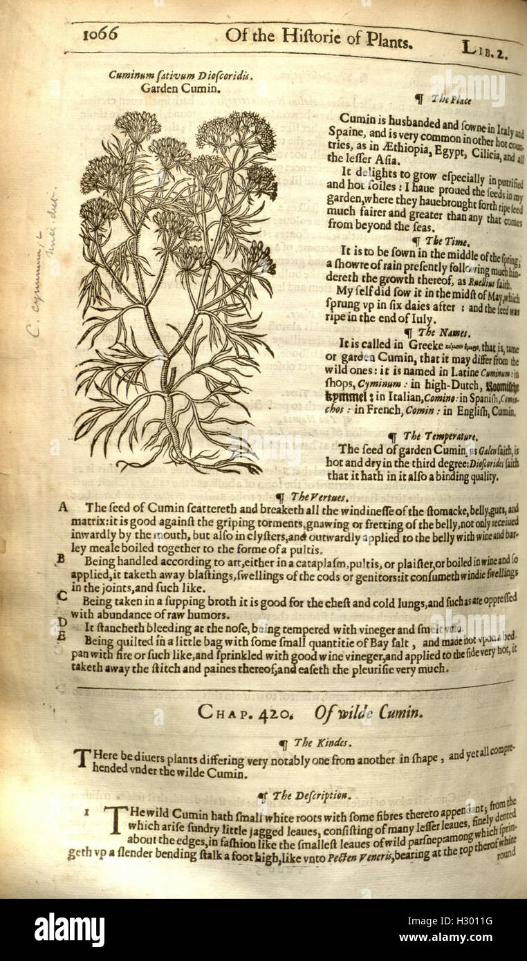 Herbal compendium hi-res stock photography and images - Alamy