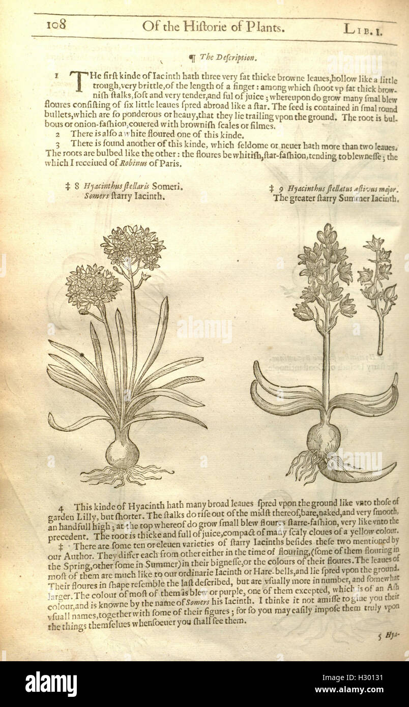 A comprehensive work on the general history of plants, detailing their ...