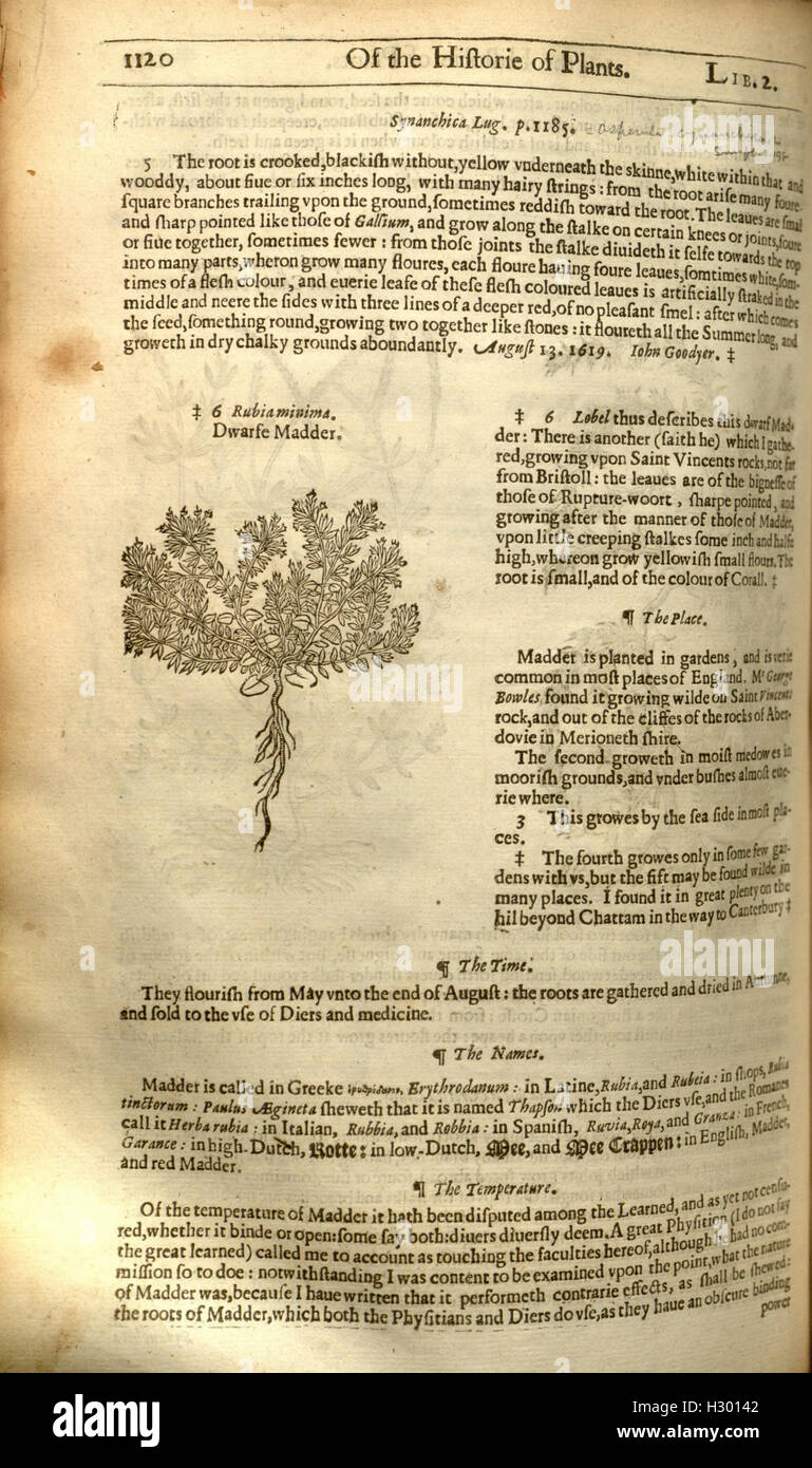 This botanical text provides a comprehensive history of plants ...