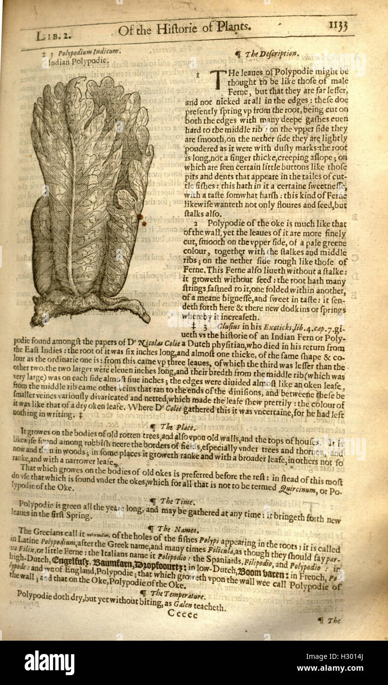 This botanical reference work, originally published in the 16th century ...