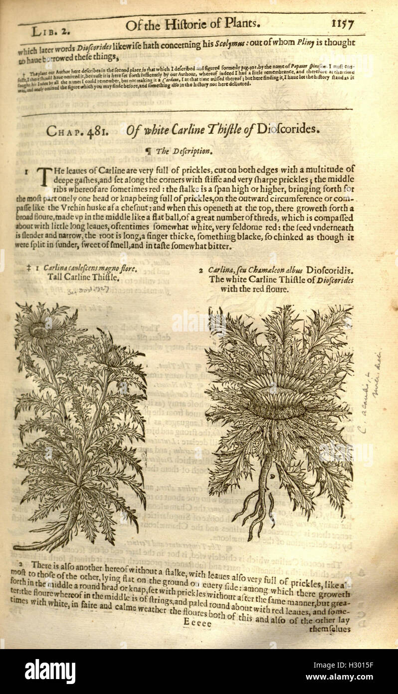 An expanded edition of the comprehensive botanical work detailing the ...