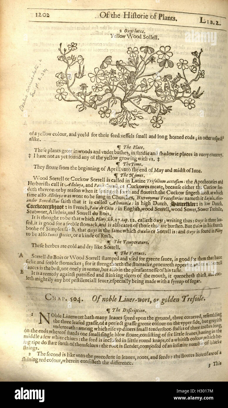 *The Herball*, a key botanical text, documents the history, uses, and ...
