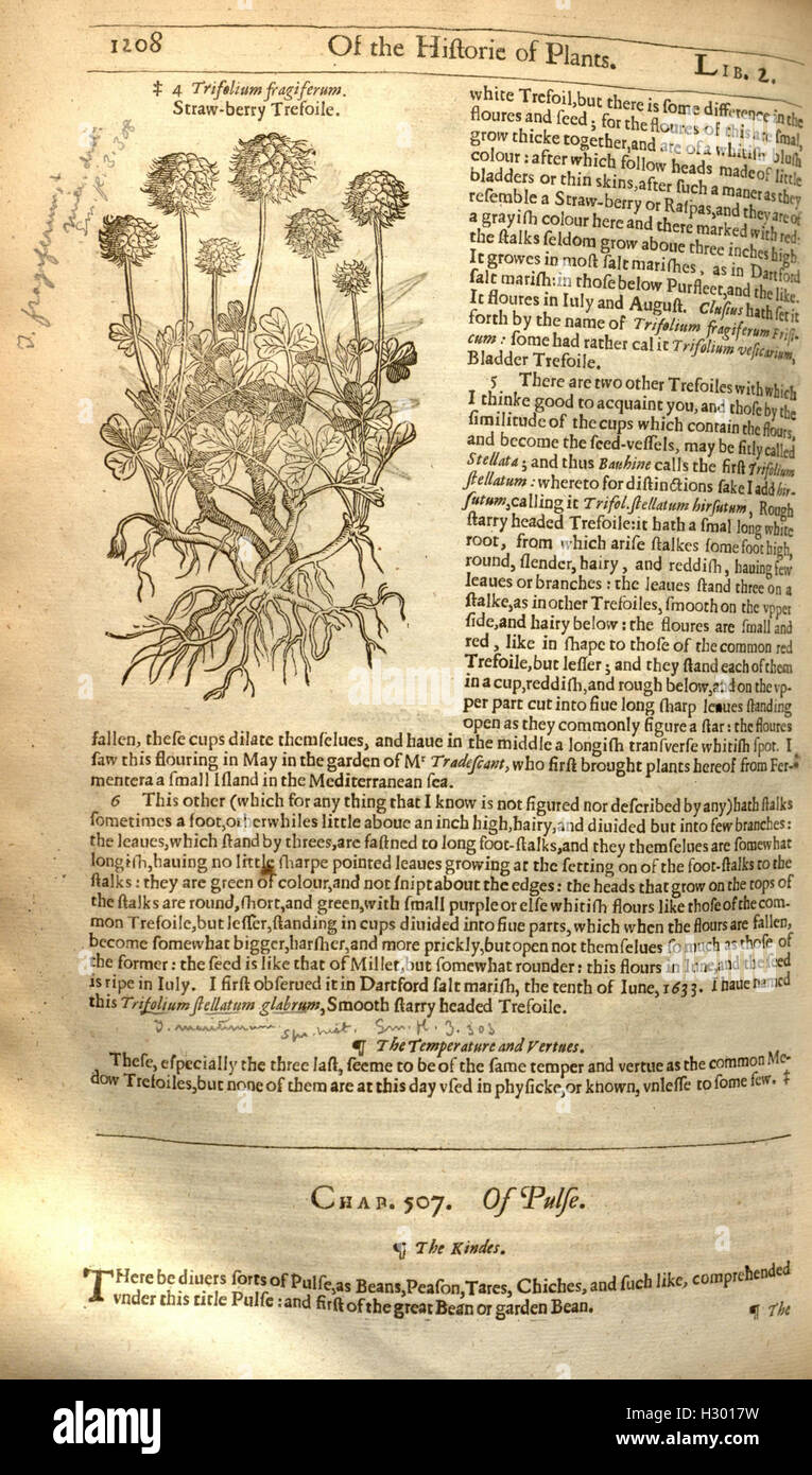 A comprehensive botanical text that provides a detailed history and ...