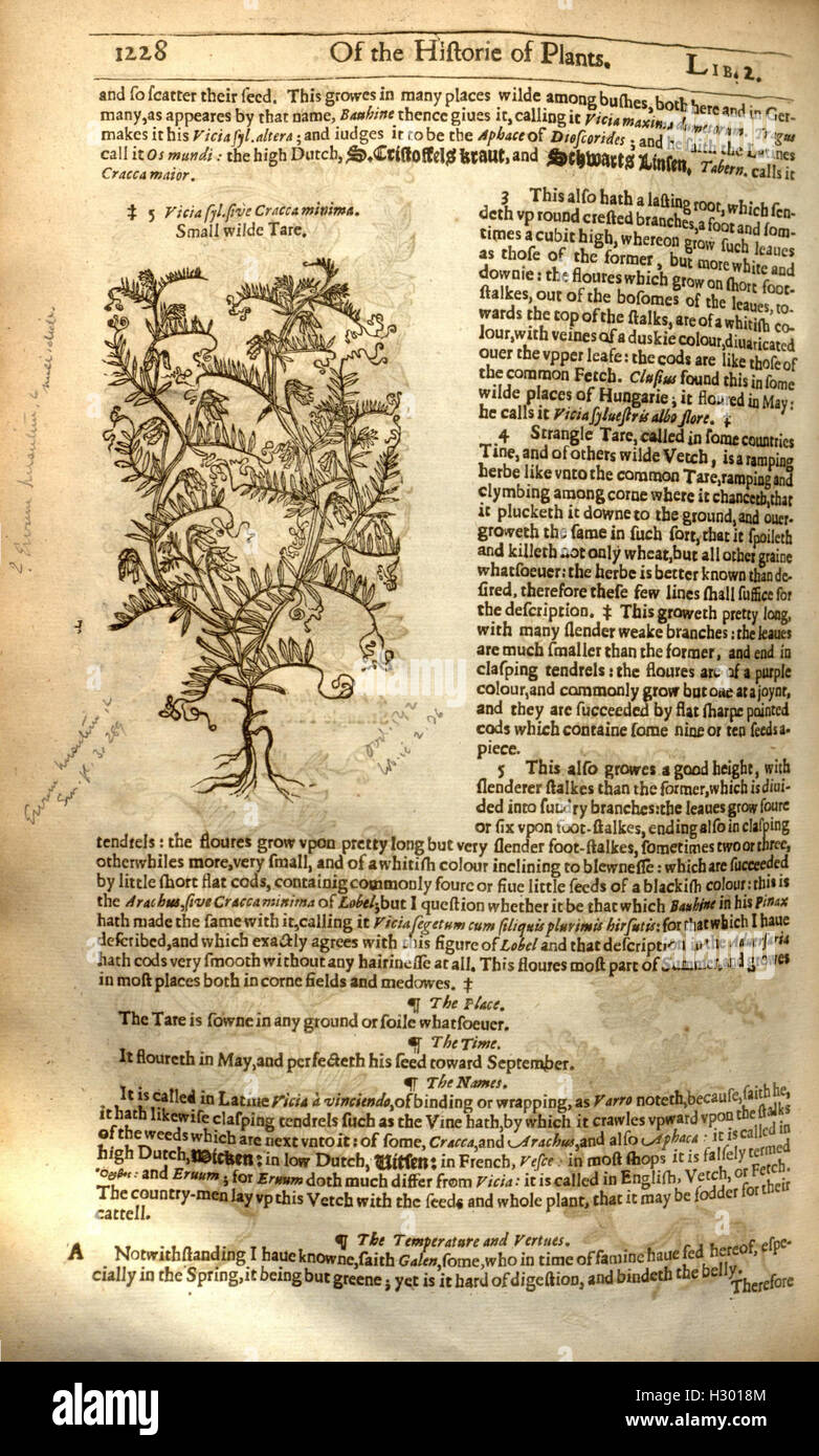 This classic botanical work offers a comprehensive history of plants ...