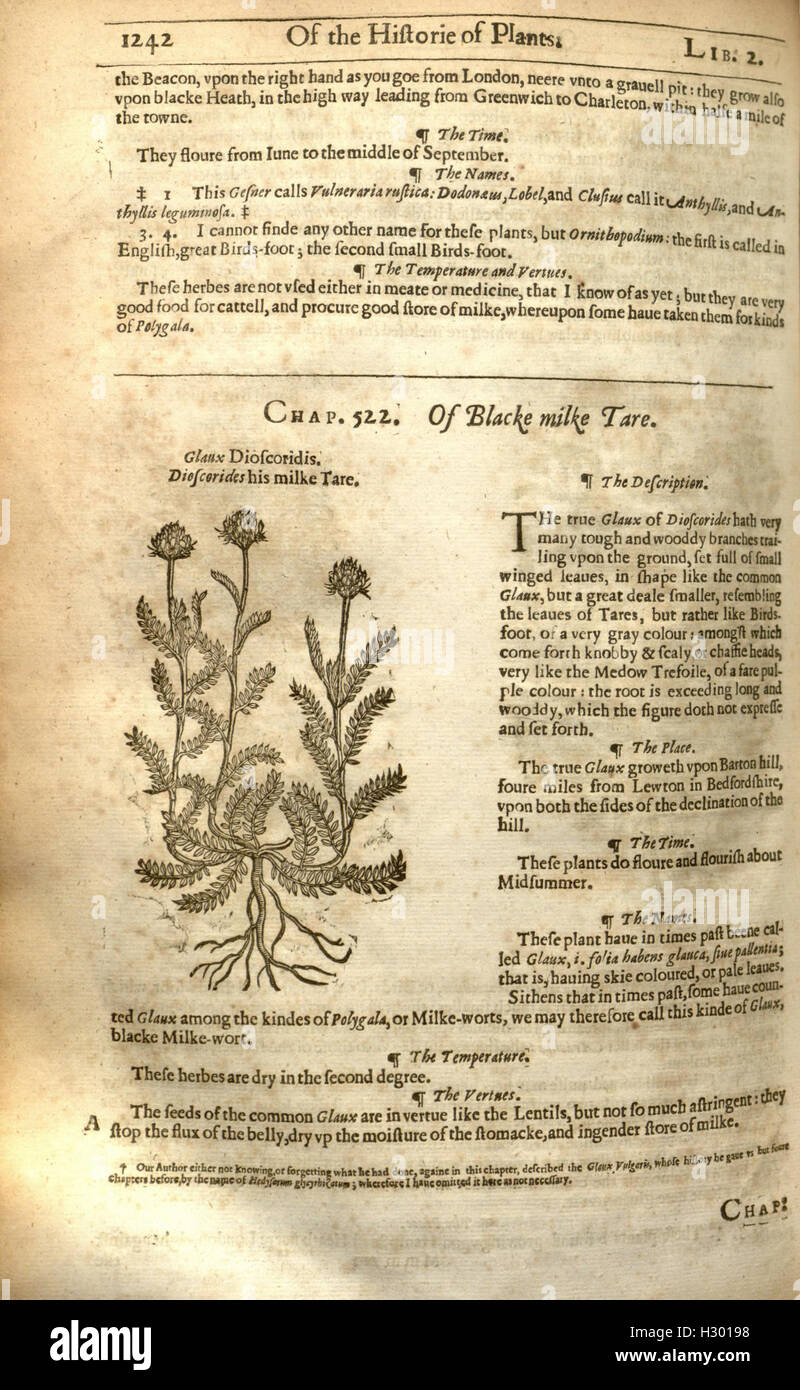 This historical botanical work catalogs plants, detailing their ...