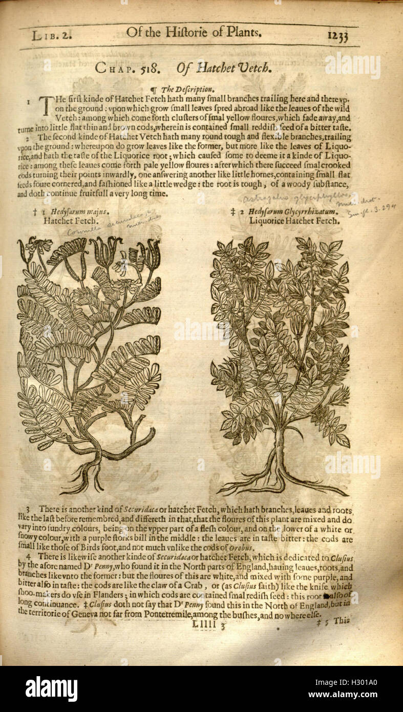 This historical work provides detailed descriptions of plants, their ...