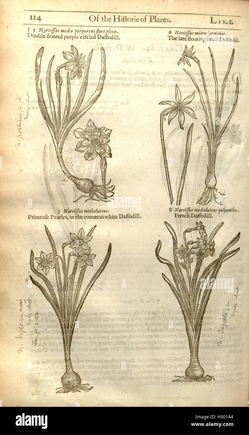 'The Herball, or Generall Historie of Plantes' is an influential ...