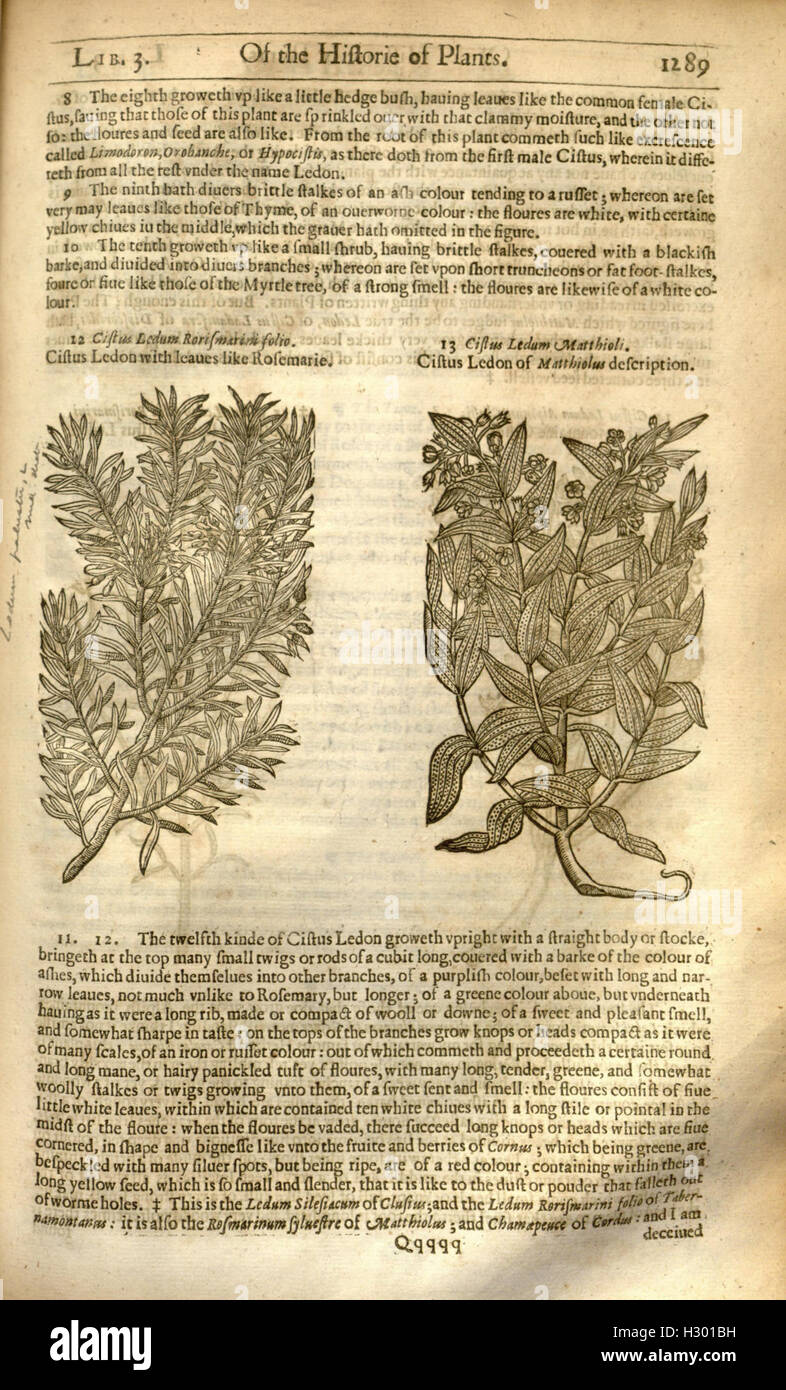 This botanical text provides a comprehensive history of plants ...