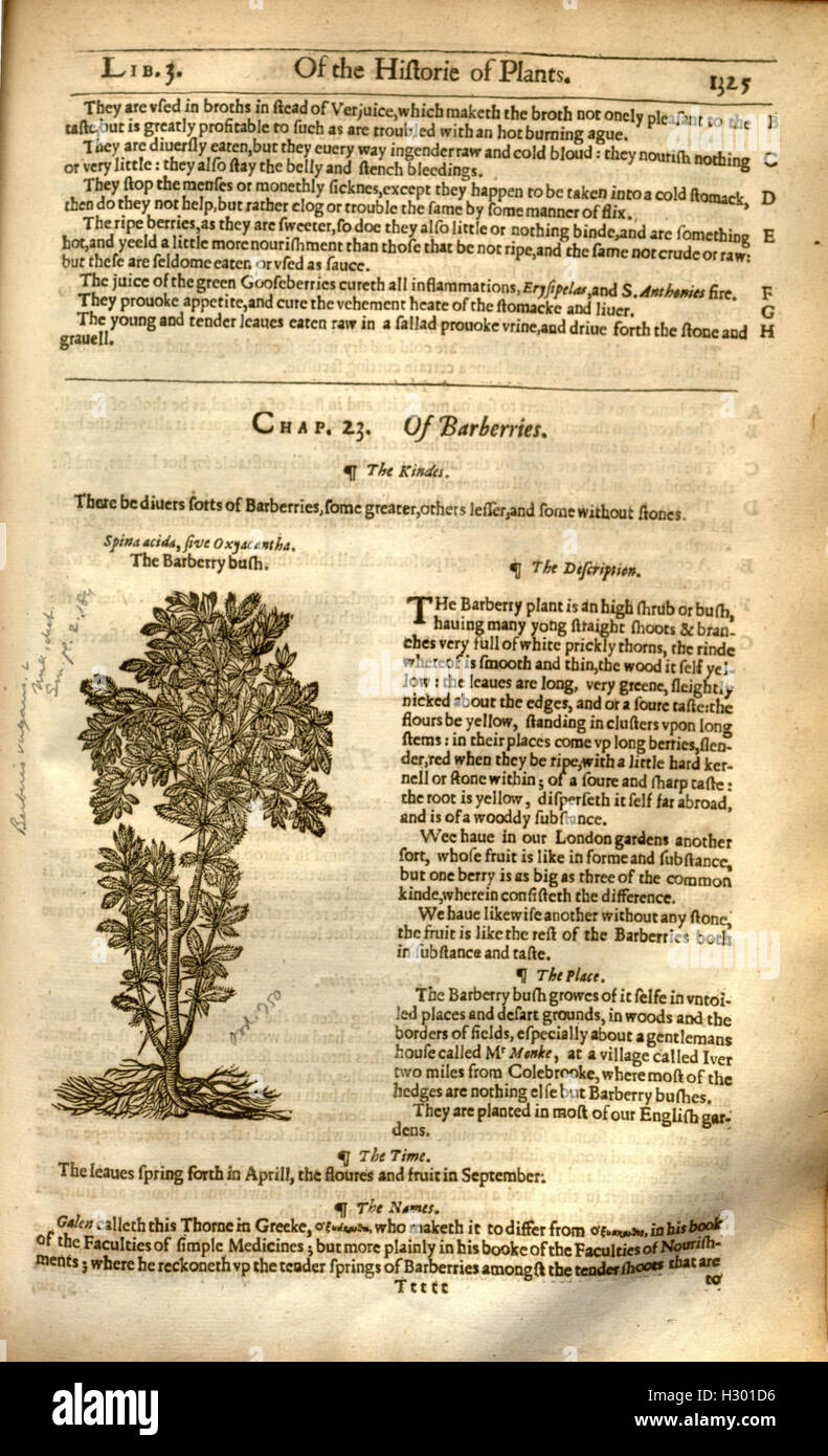 This extensive botanical work provides a comprehensive history of ...