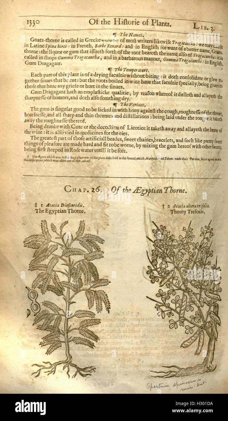 This historic botanical text provides an extensive overview of plant ...