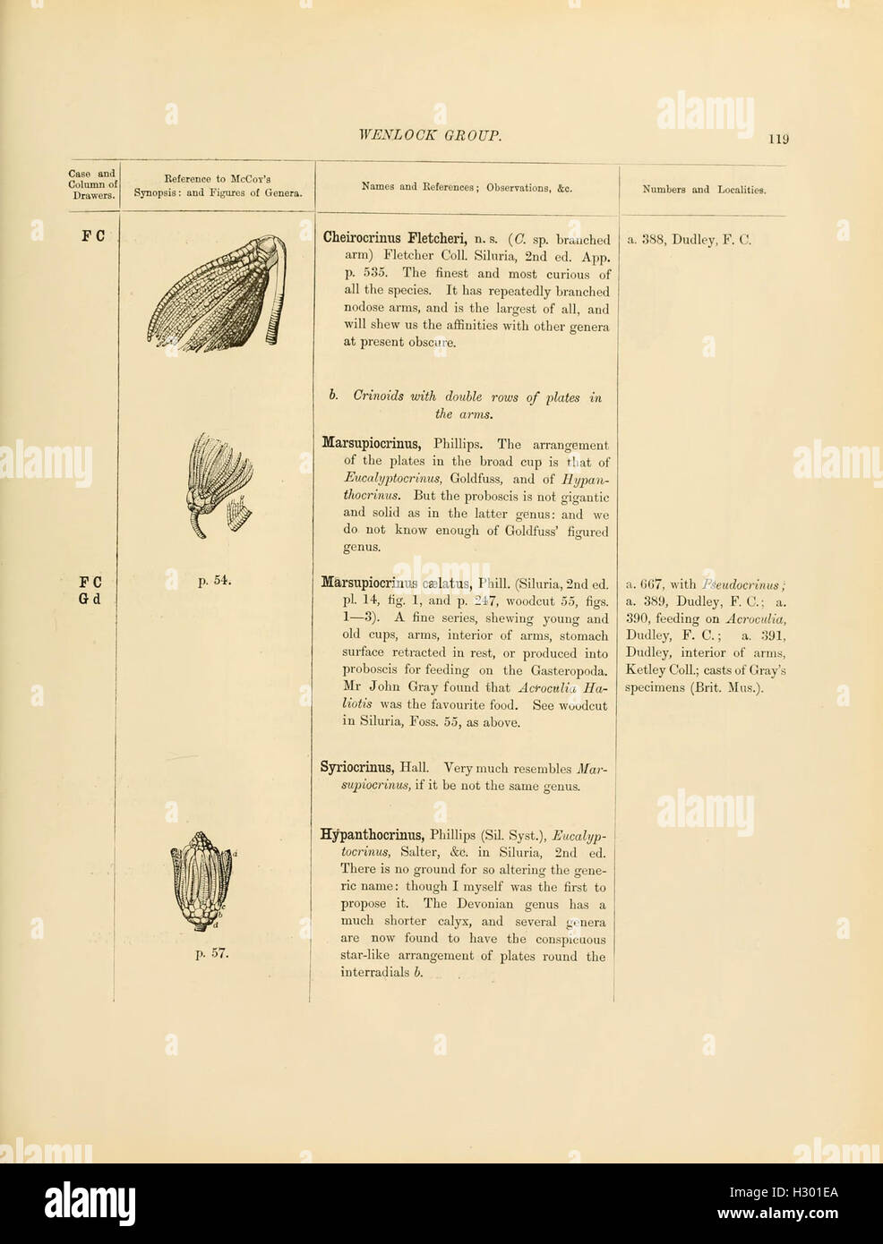This catalogue describes the Cambrian and Silurian fossils housed in ...