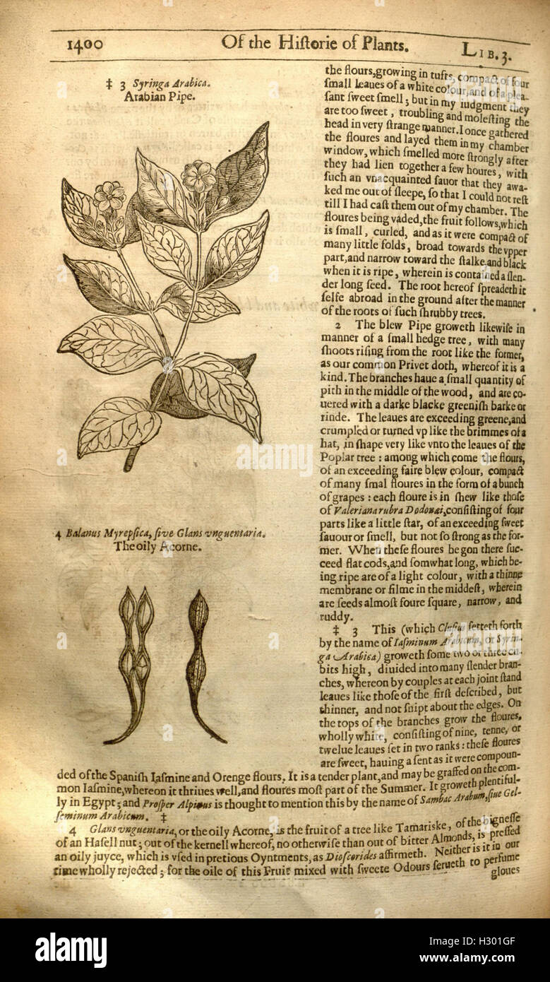 'The Herball, or General Historie of Plantes' is a seminal work in ...