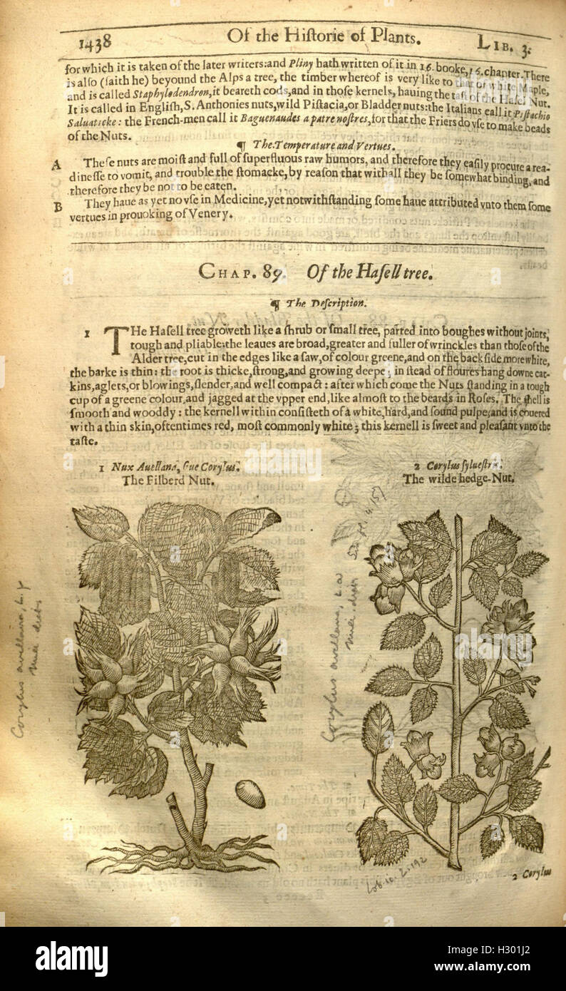 A classic botanical work detailing a comprehensive history and ...