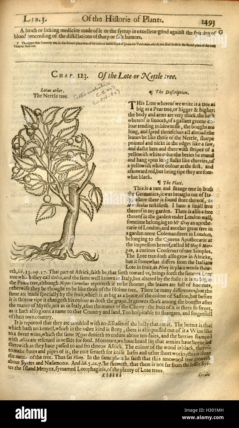 This classic botanical work offers an extensive catalog of plants ...