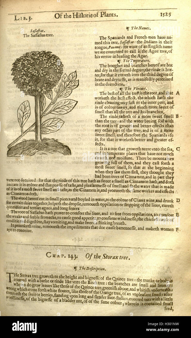 This page from 'The Herball' describes various plant species, their ...