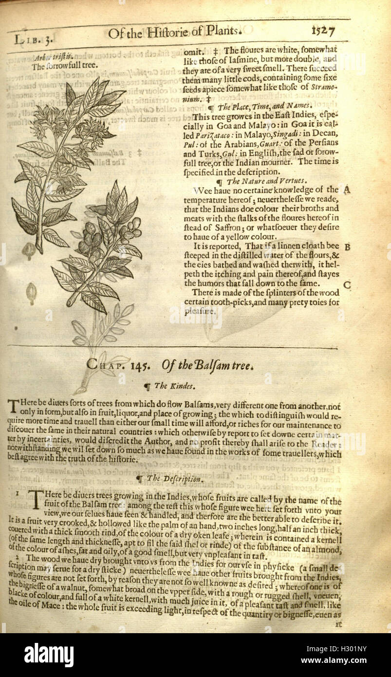 A detailed herbal and botanical history documenting various plant ...
