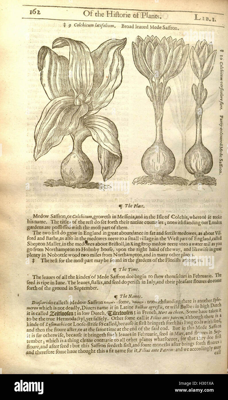 A significant work on plants, documenting various plant species and ...