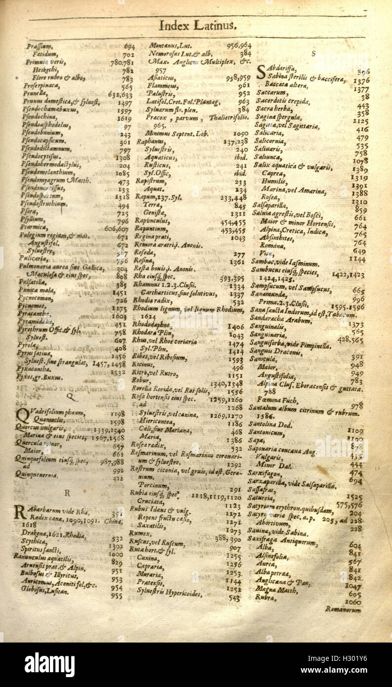 A historical work that discusses various plant species, their uses, and ...