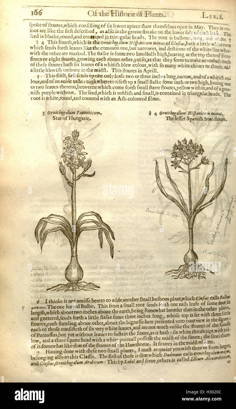 A historical botanical work documenting various plant species, their ...