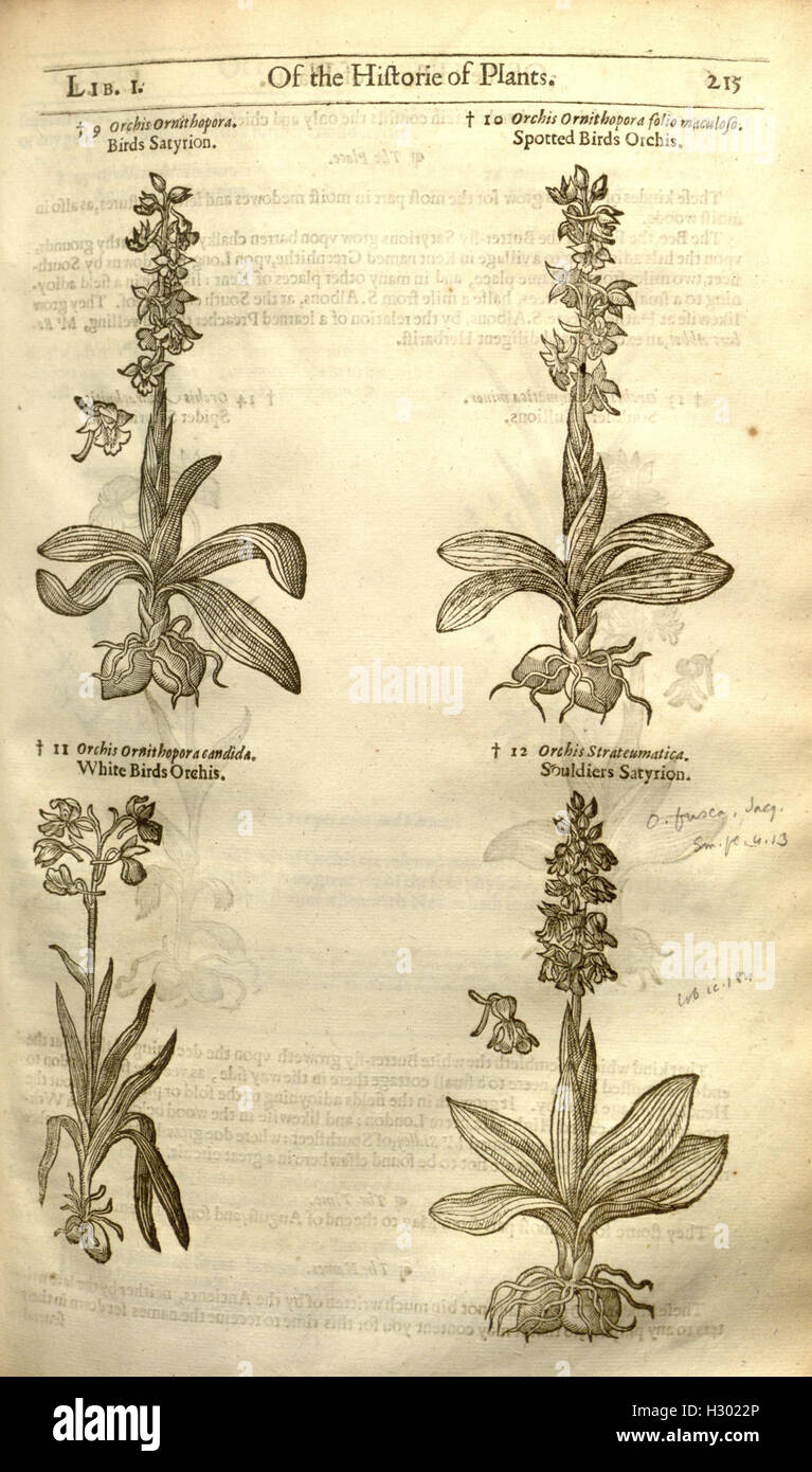 A classic botanical text that provides a comprehensive history and ...
