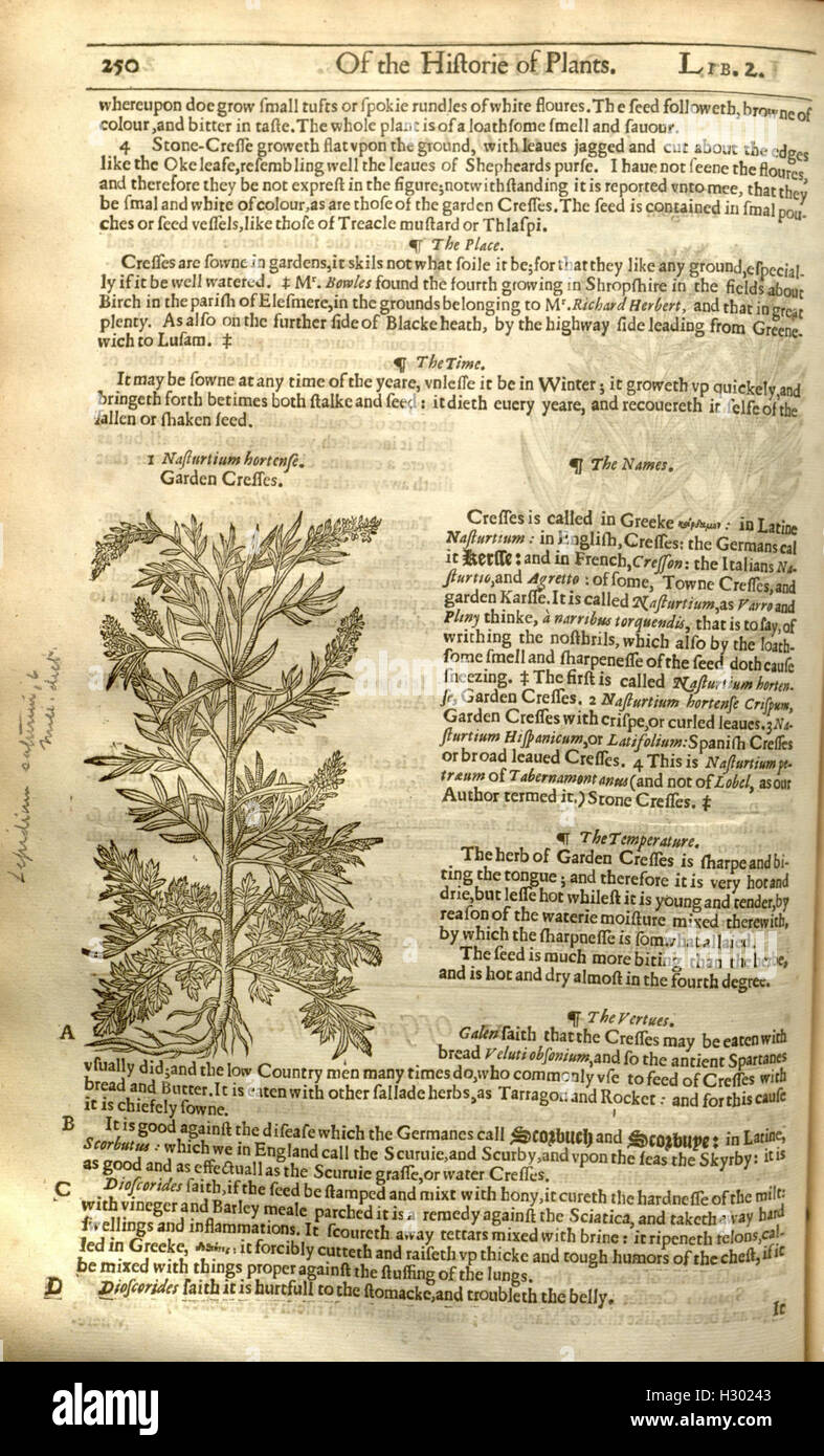 A comprehensive botanical work documenting the history and ...