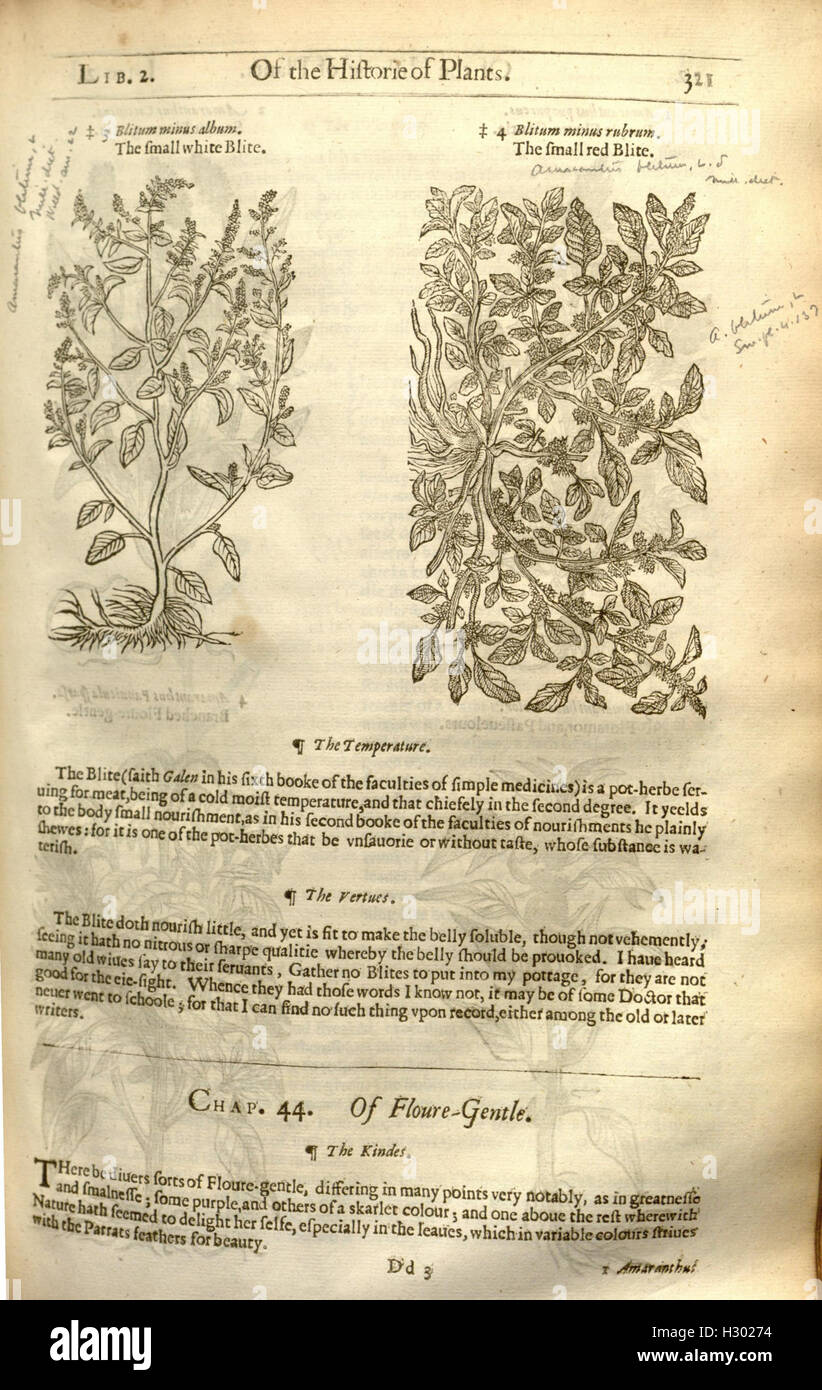 A historical botanical text offering detailed descriptions of plant ...