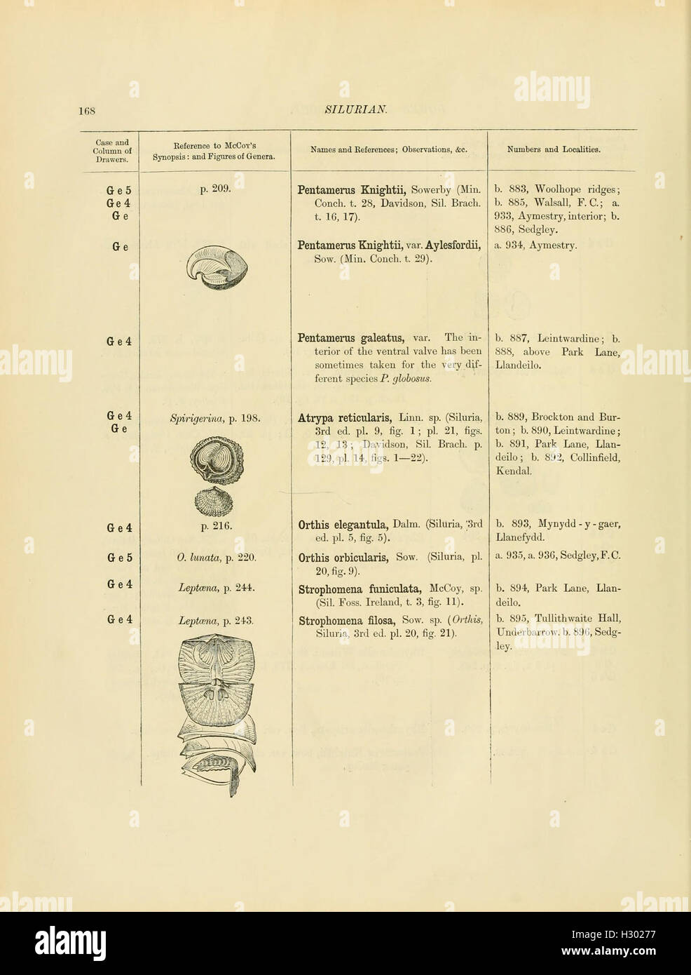 This catalogue lists the Cambrian and Silurian fossils housed in the ...
