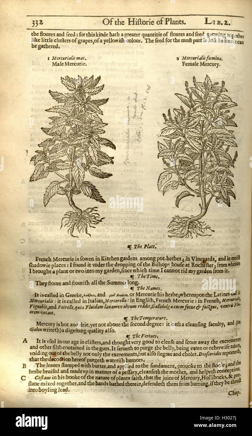 This work is a historical botanical reference, documenting plant ...