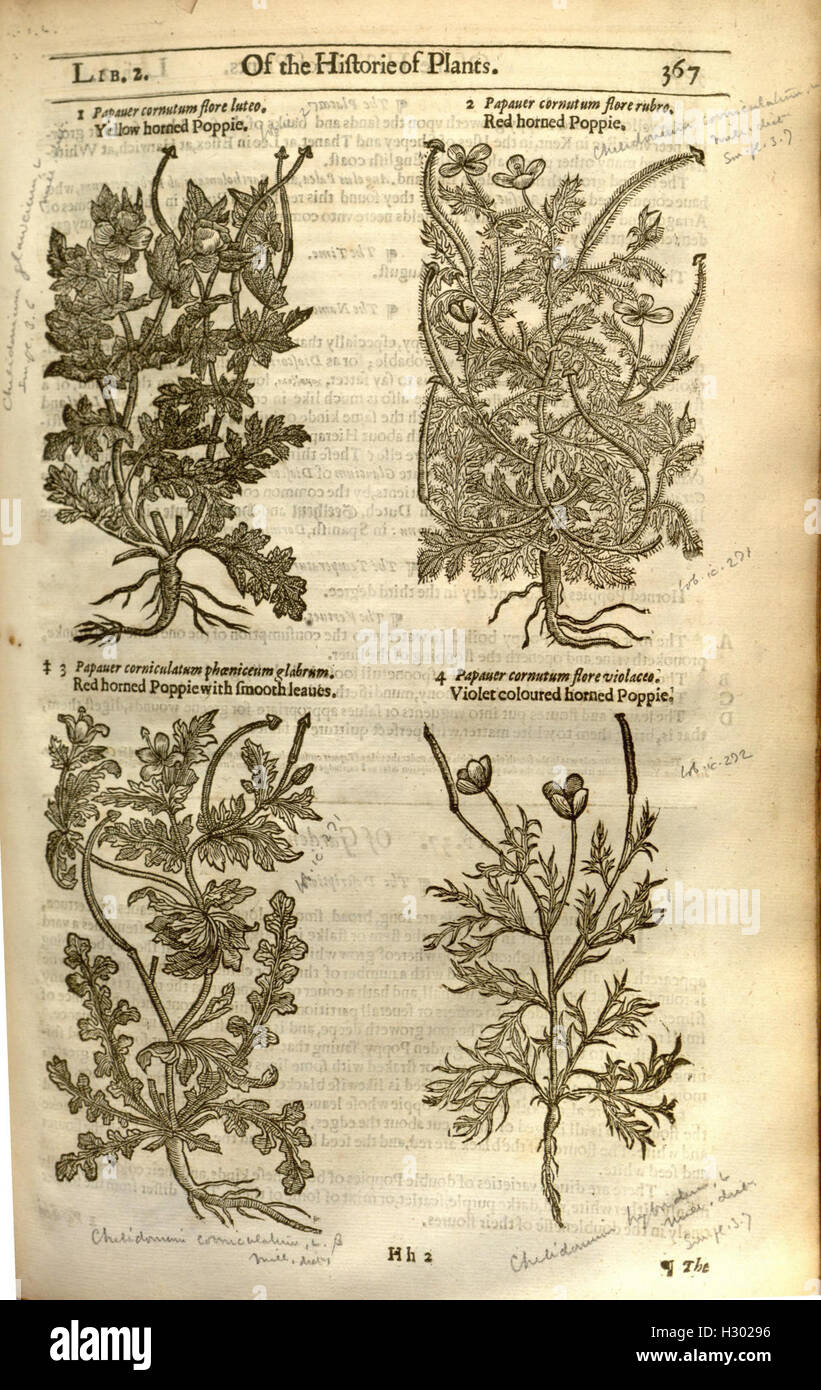 This work provides an extensive history and detailed descriptions of ...