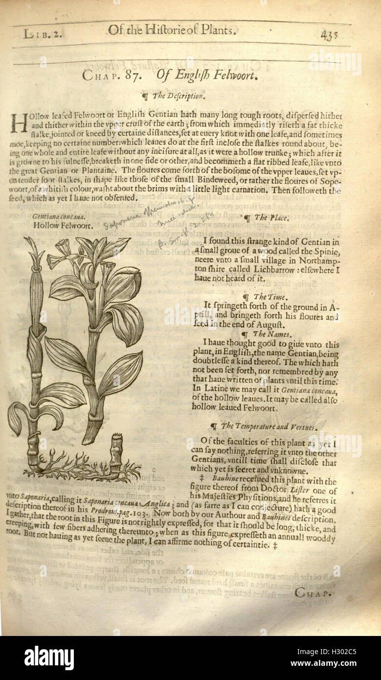 This historical botanical work provides extensive descriptions and ...