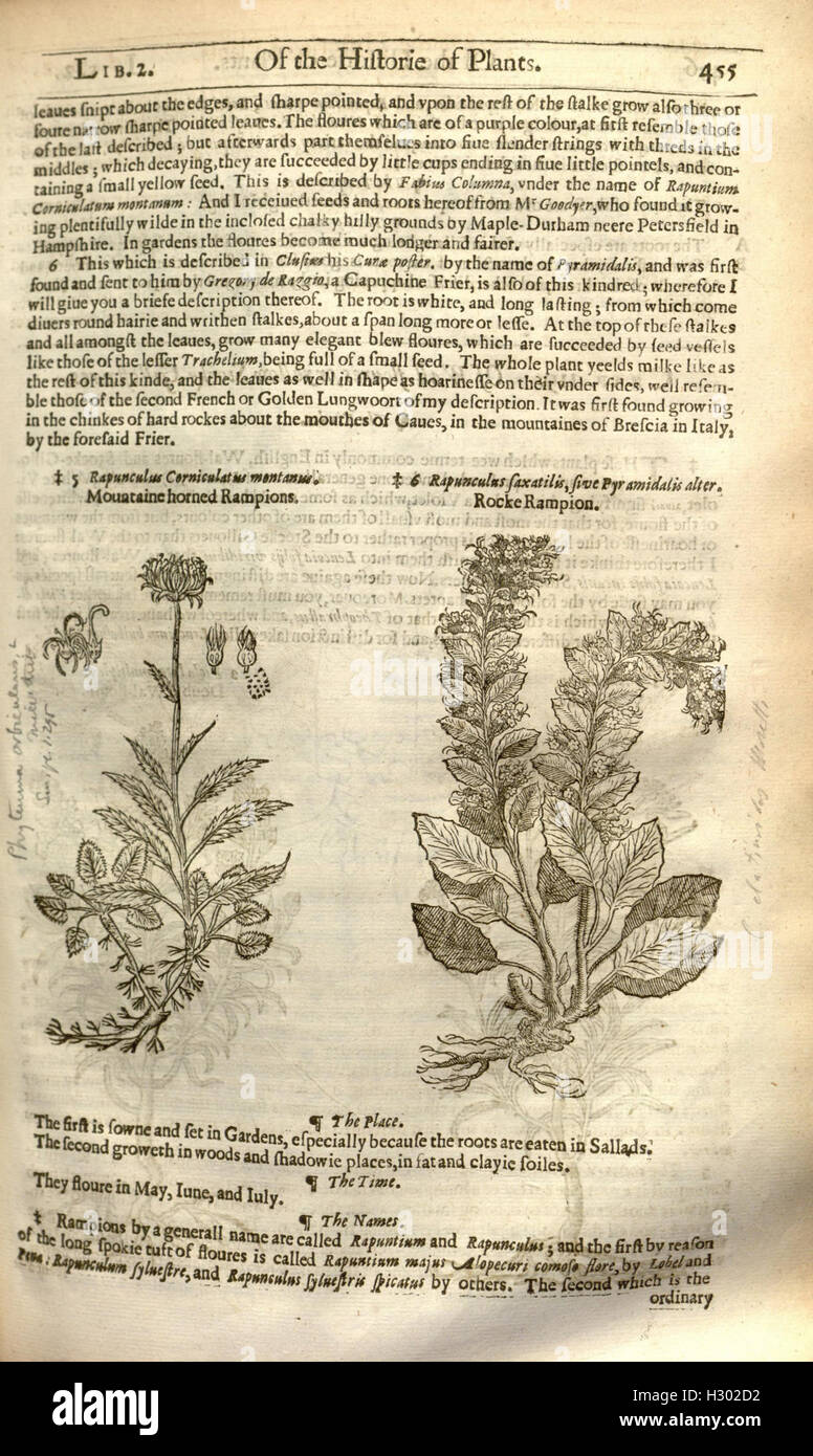This important herbal work by John Gerard documents a wide variety of plants, providing their ...