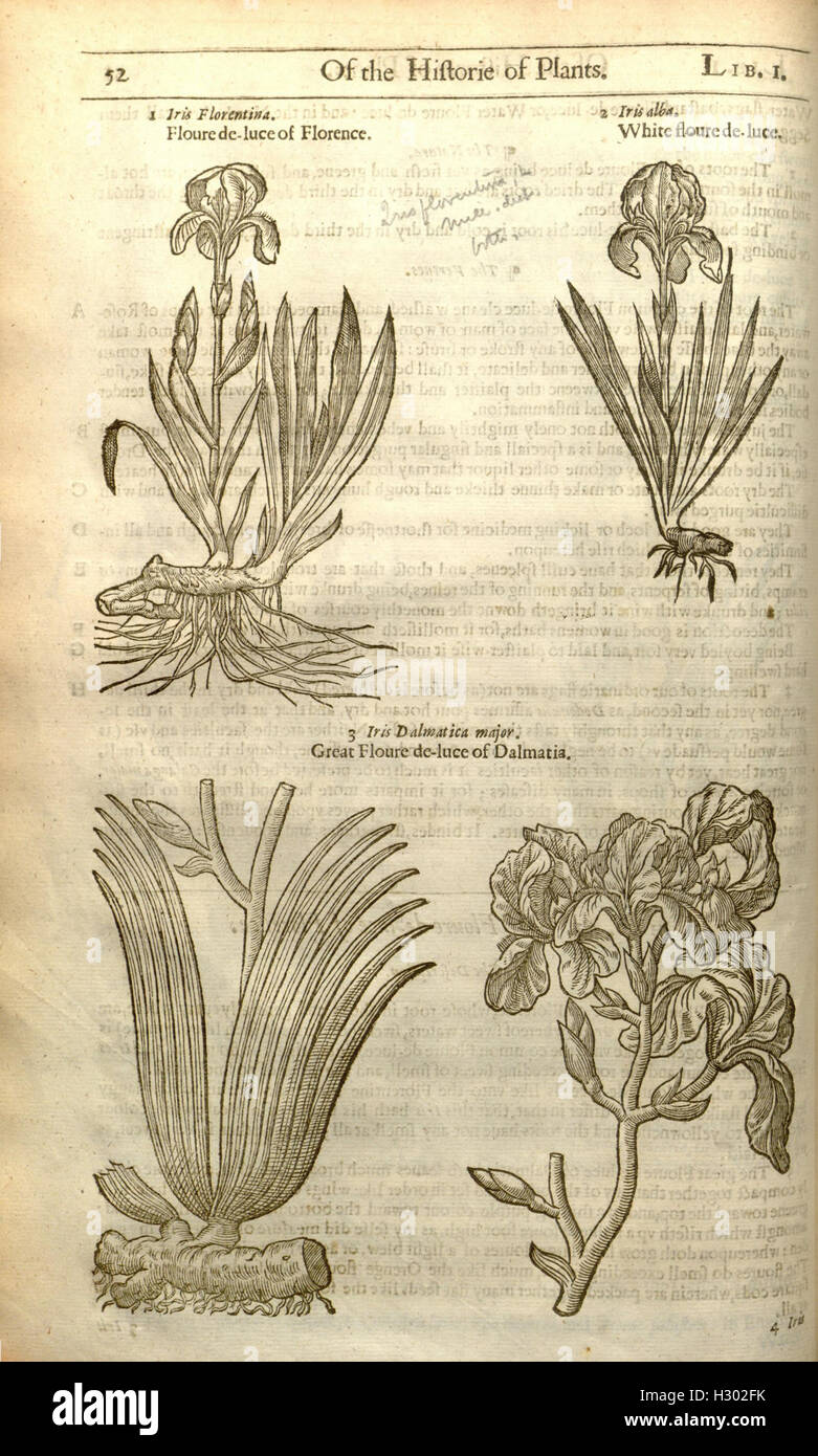 This historical text covers the general history and classification of ...