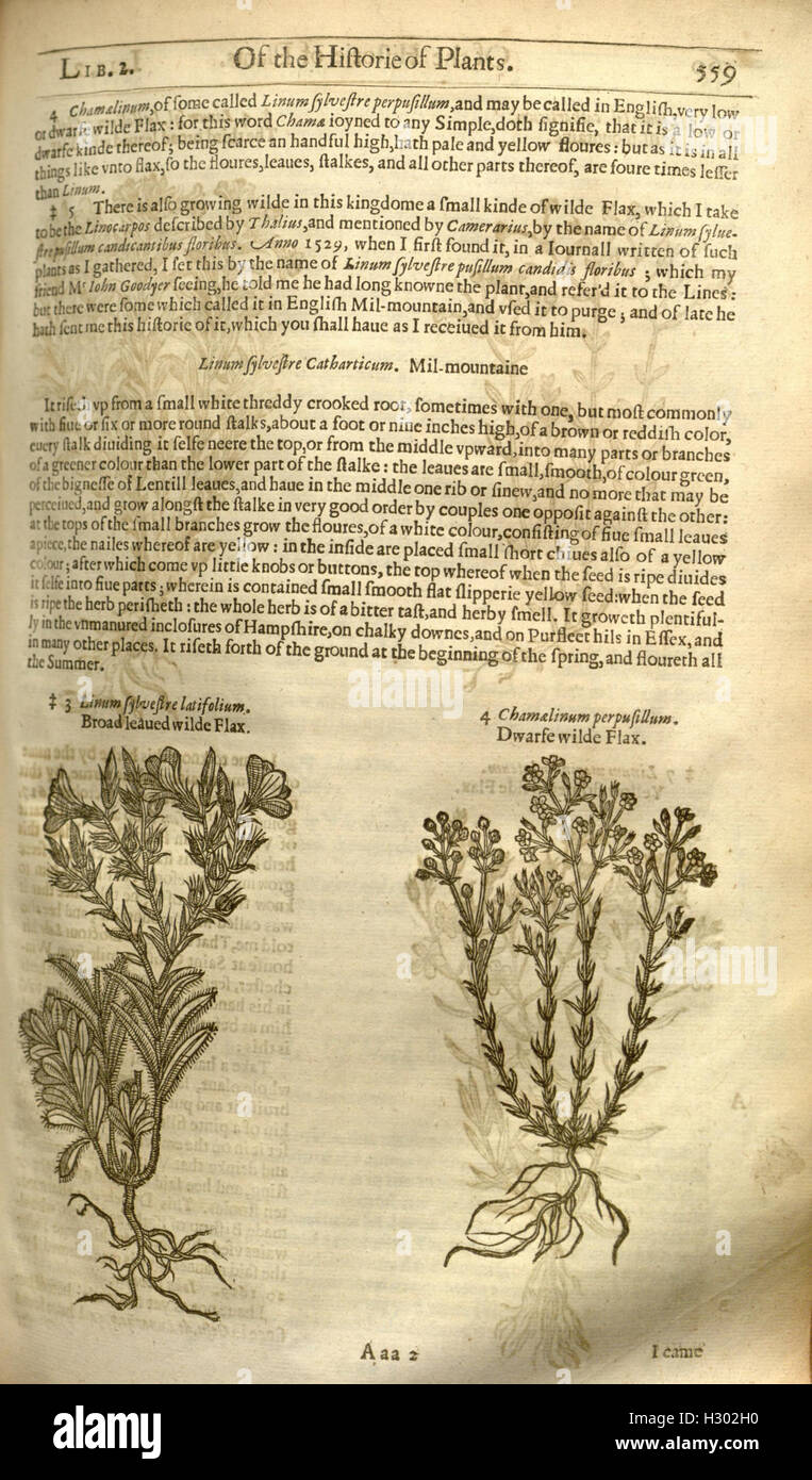 This section of the herbal history presents further plant species and ...