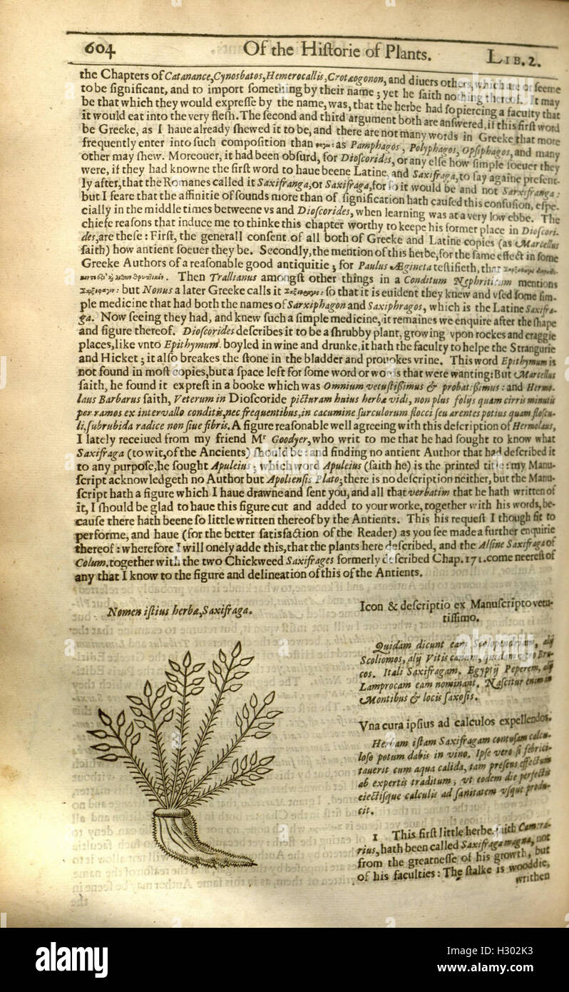 A botanical text detailing the history, classification, and medicinal ...