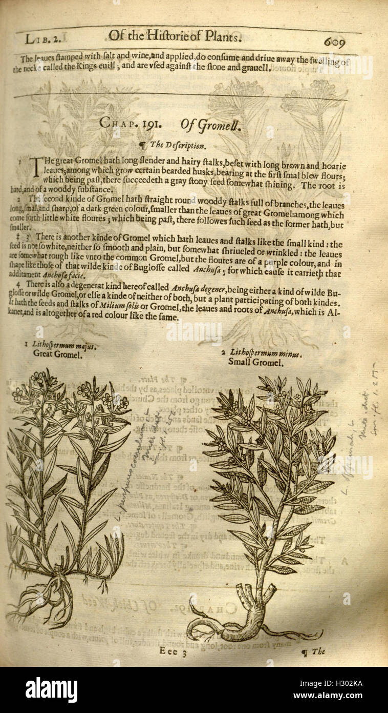 A comprehensive historical botanical work covering plant species, their ...