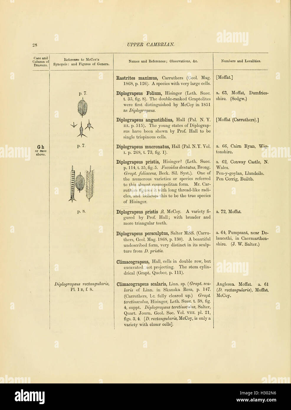This catalogue lists Cambrian and Silurian fossils in the Geological ...