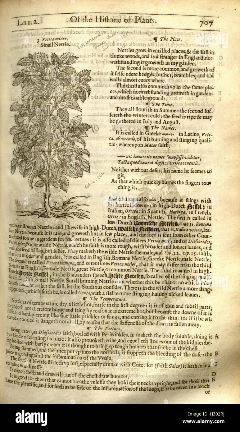 A comprehensive historical and botanical reference on plants, detailing ...