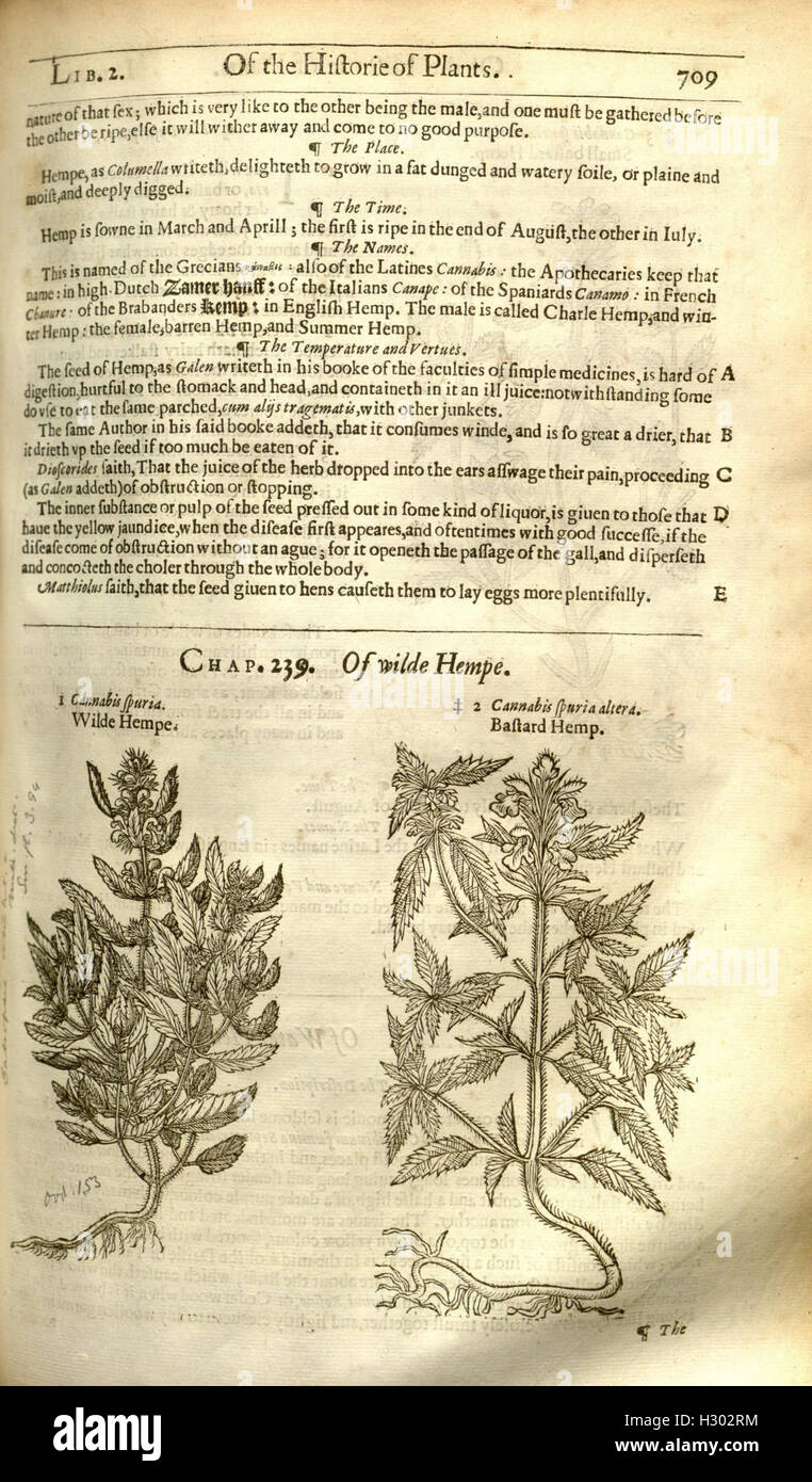 An extensive herbal guide documenting a wide range of plants and their ...