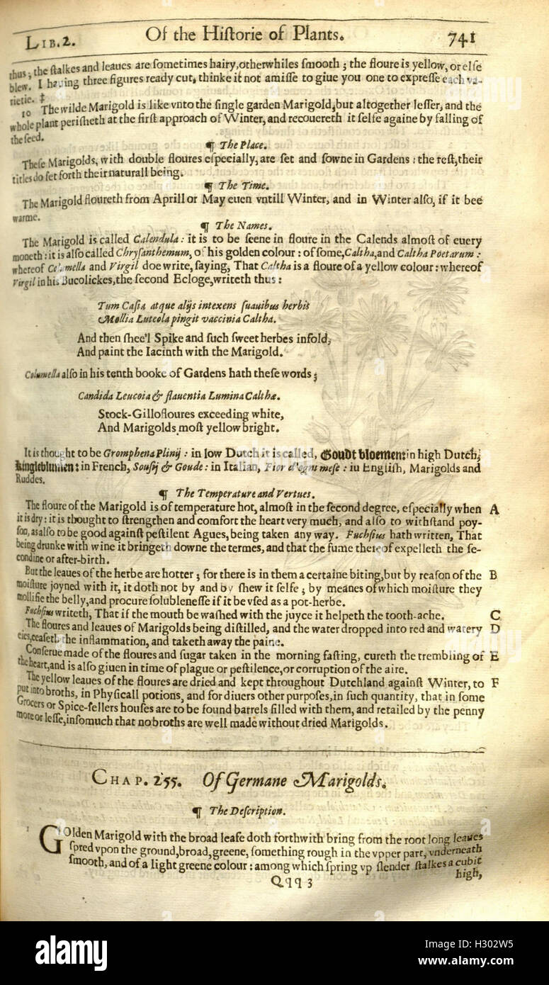 A historic herbal text, detailing various plant species, their uses ...