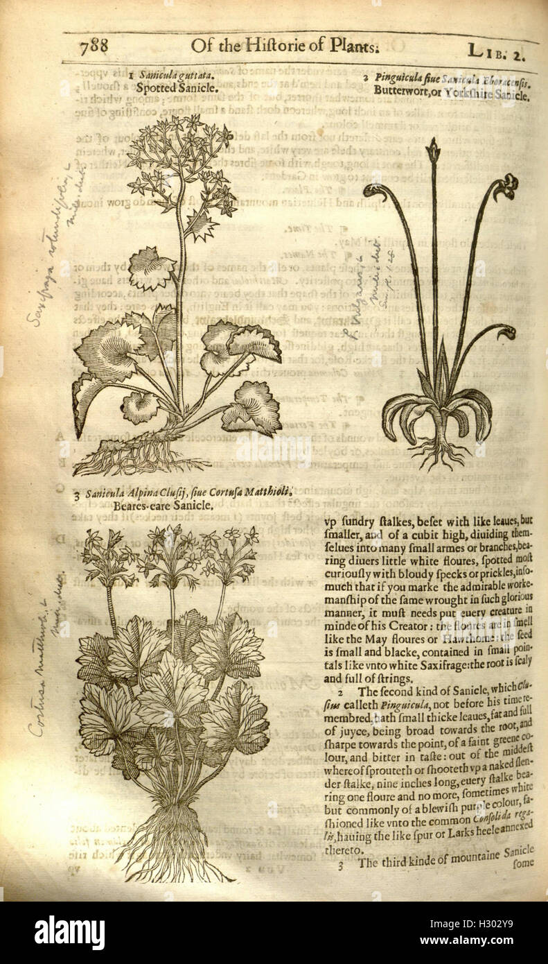 This historic botanical text provides comprehensive descriptions of ...