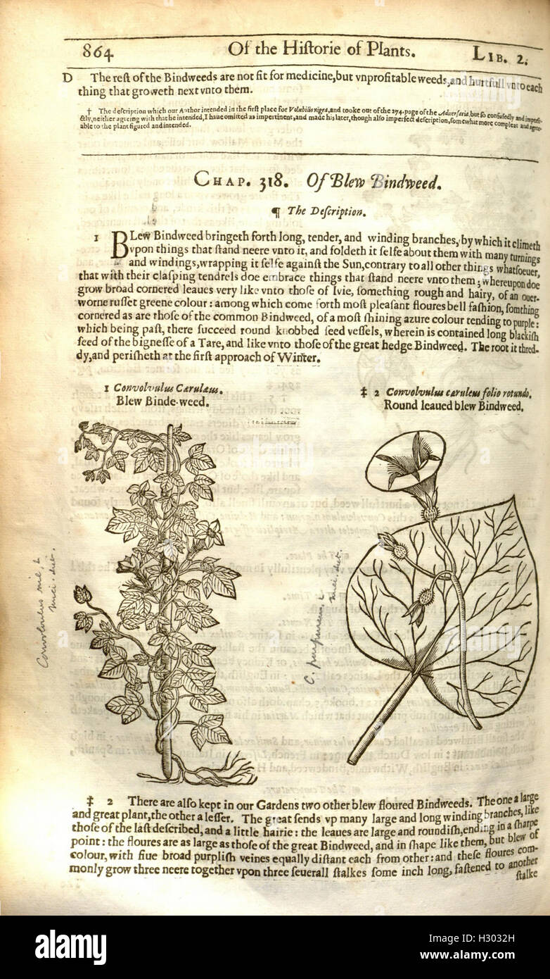 An important botanical work documenting the history and characteristics ...