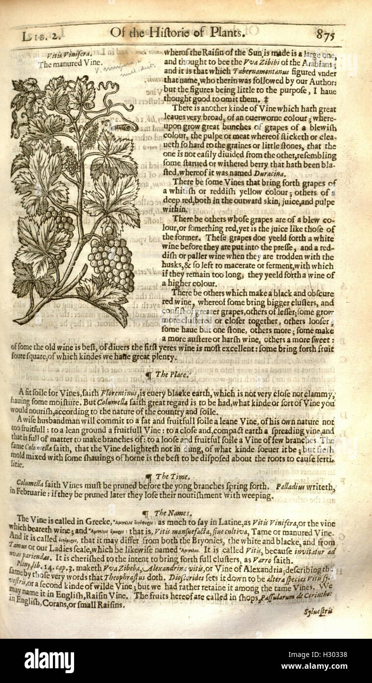 This historical text offers a comprehensive account of plant species ...