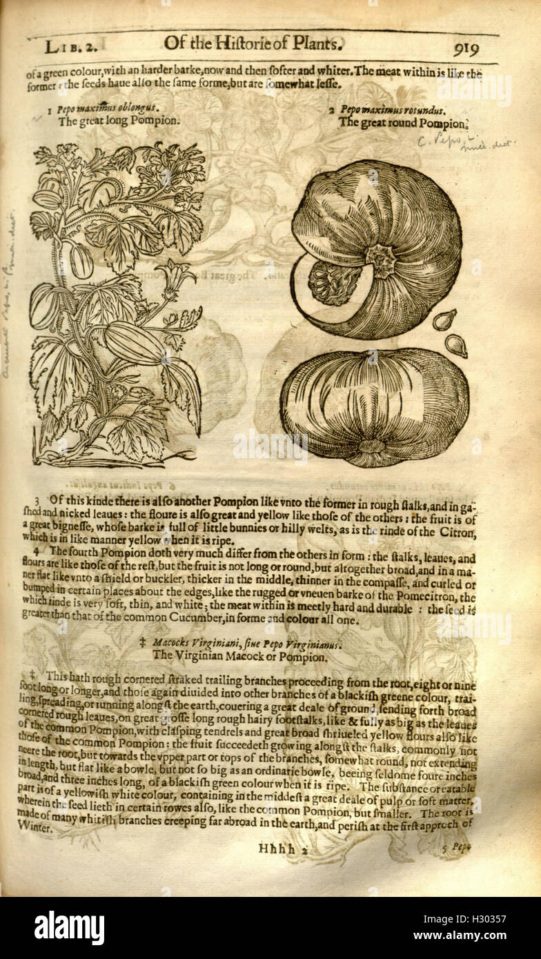 A comprehensive herbal documenting various plant species, their uses ...