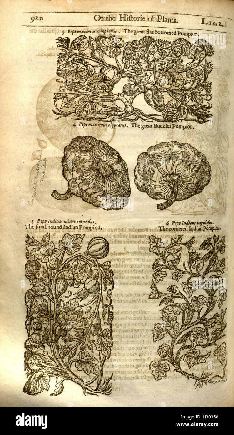 An important botanical reference work, detailing the general history of ...