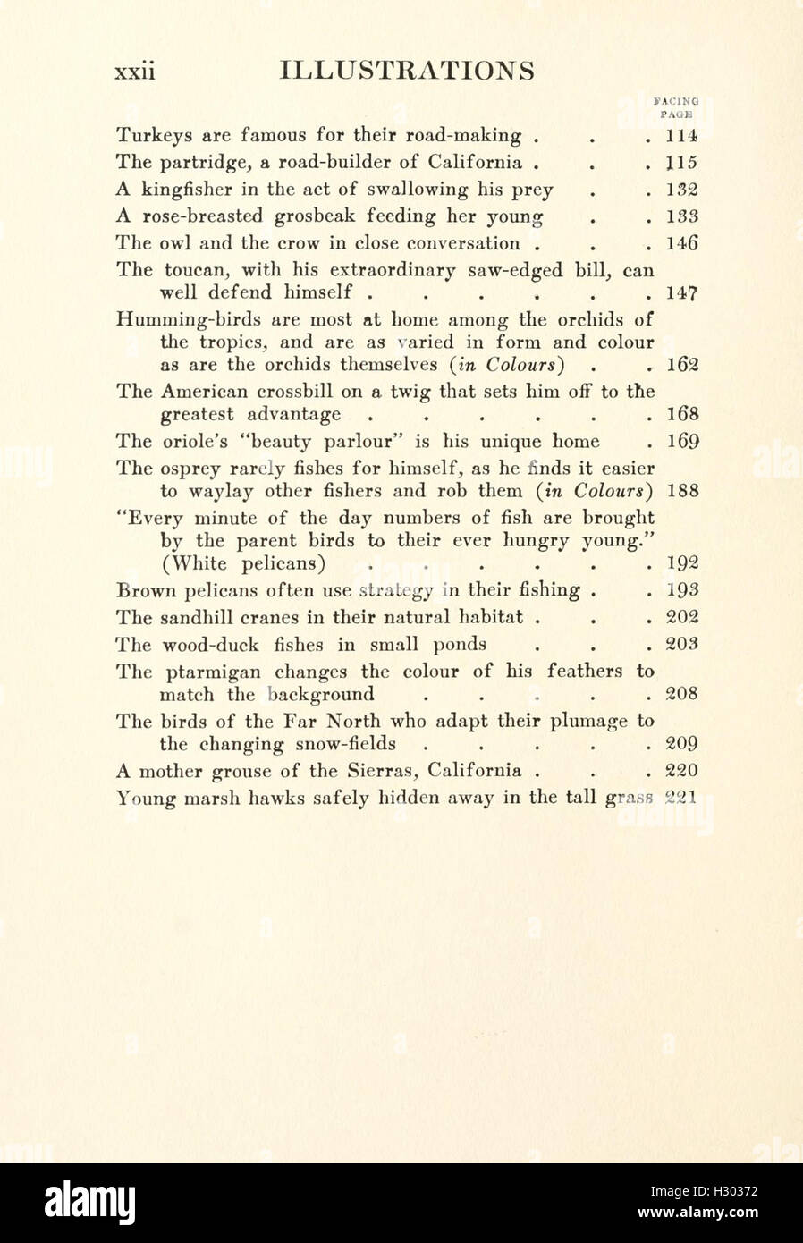 *The Human Side of Birds* explores the relationship between humans and ...