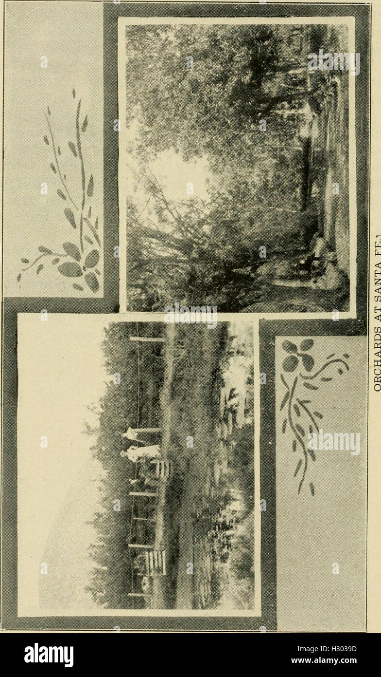 Published in 1904, this handbook provides a detailed overview of New ...