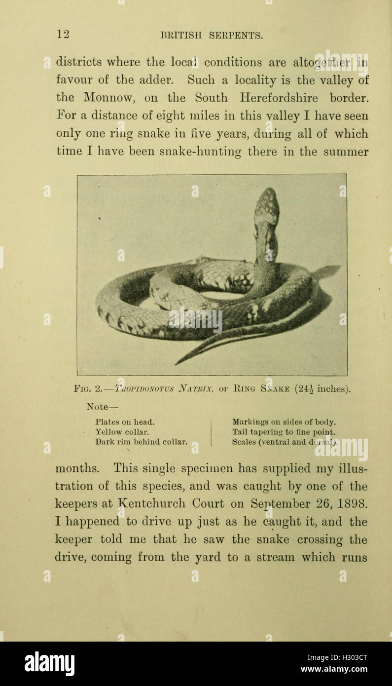 This work details the life cycles, behaviors, and distribution of ...