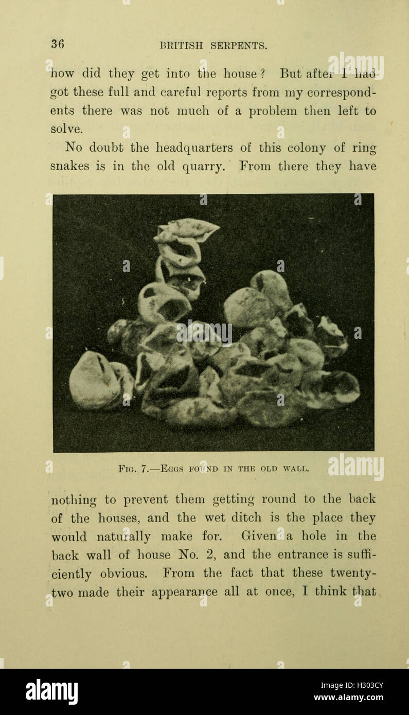 This work details the life-history and distribution of British serpents ...