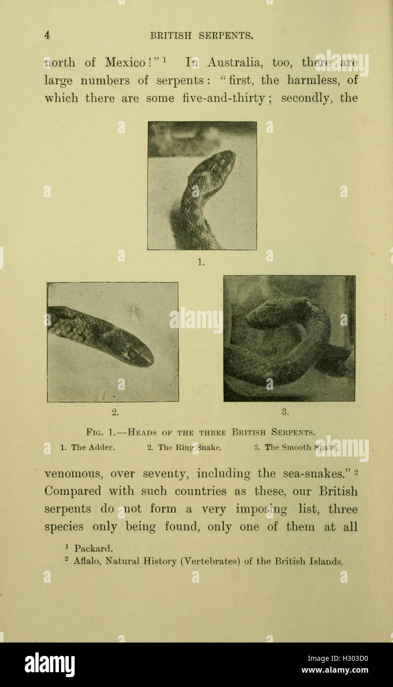 A detailed study of the life cycle and distribution of British snakes ...