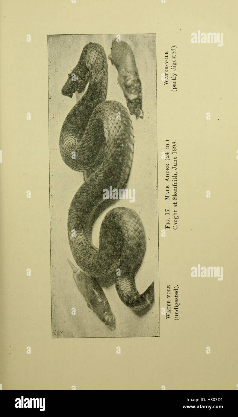 Work examines life cycle hi-res stock photography and images - Alamy